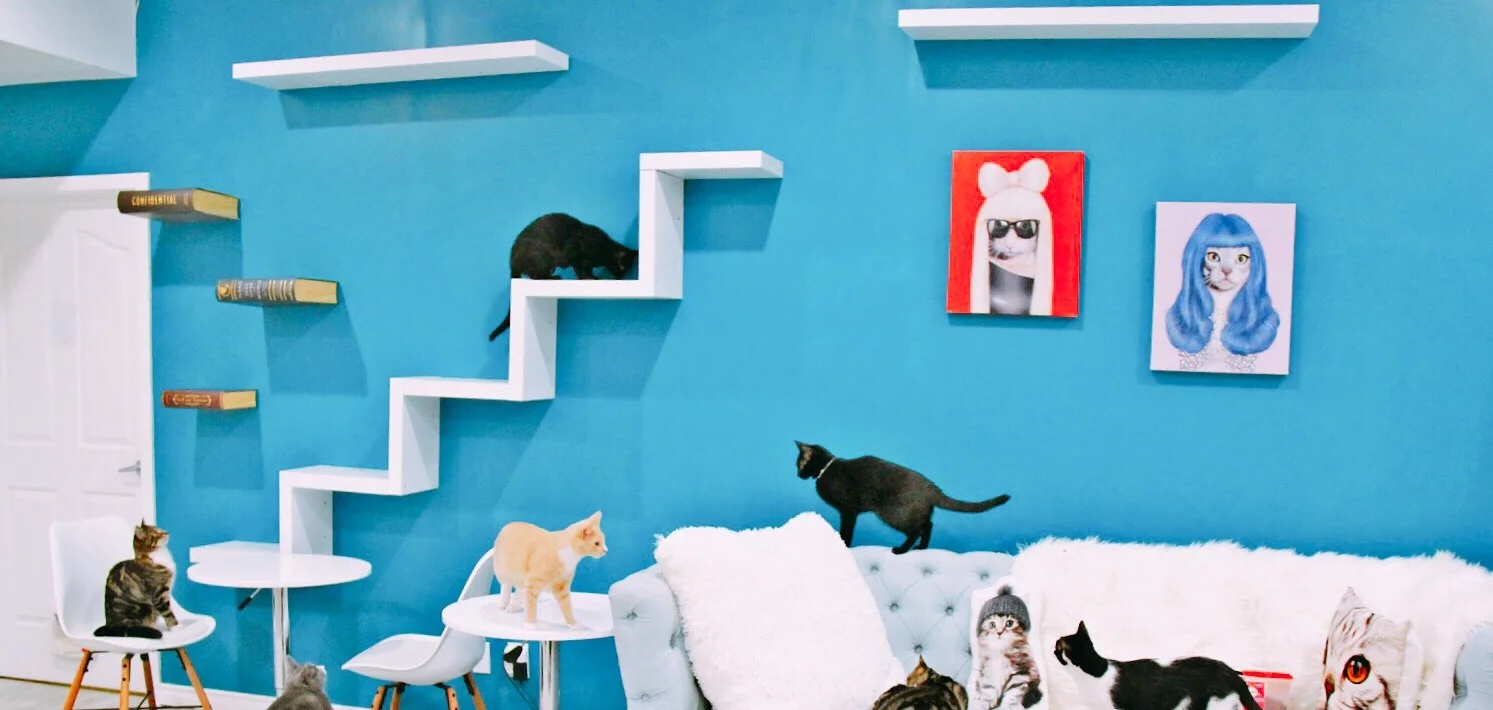 Best Date Night Spots on Whyte Ave in Edmonton - datenight