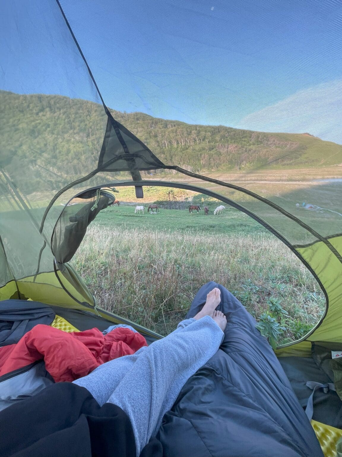 Your Travel Guide for a Getaway to Pollett’s Cove, Nova Scotia - datenight